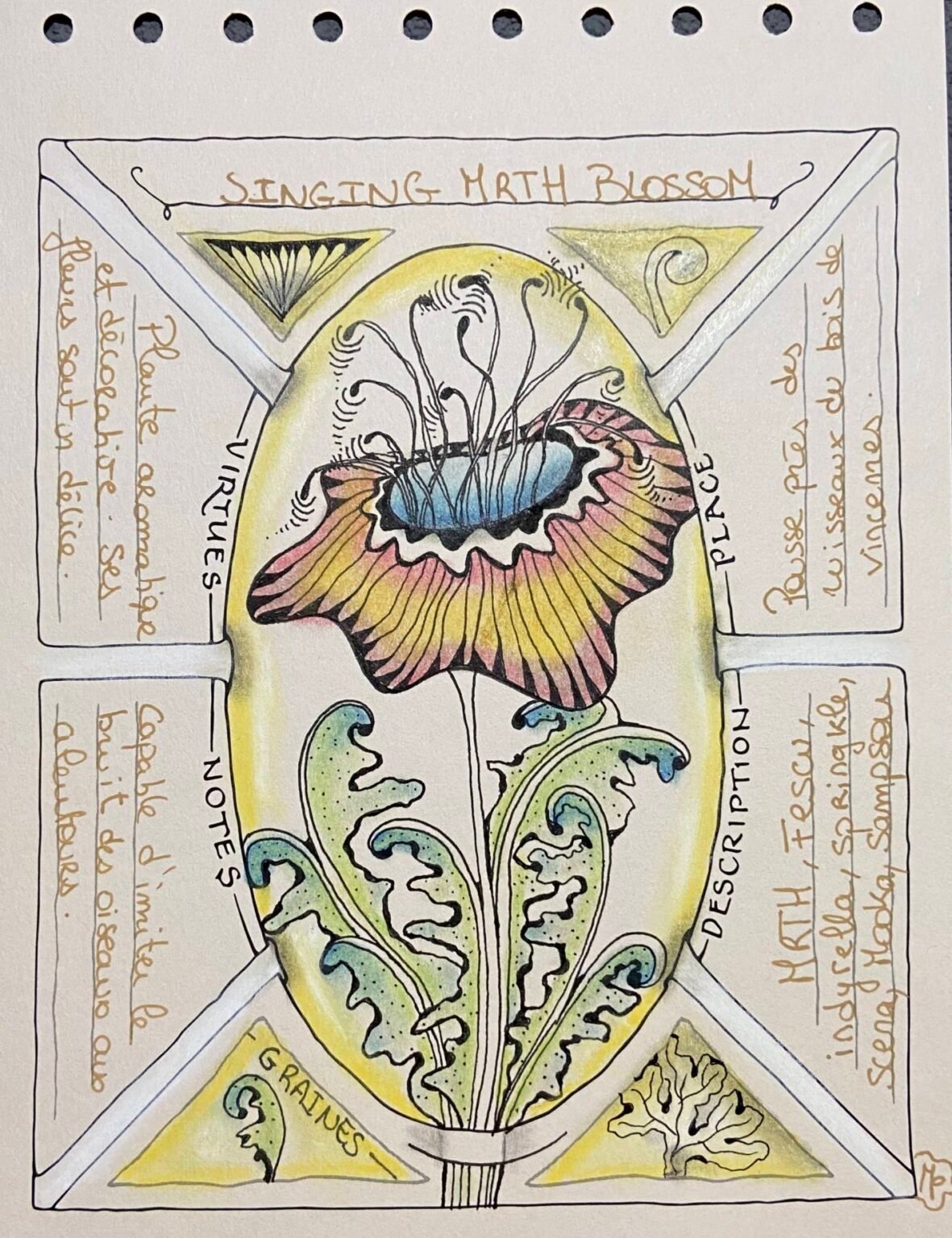 Zentangle Project Pack 21 : botanique et créativité apaisante