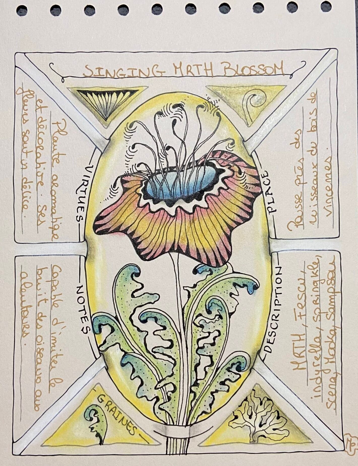Zentangle Project Pack 21 : botanique et créativité apaisante